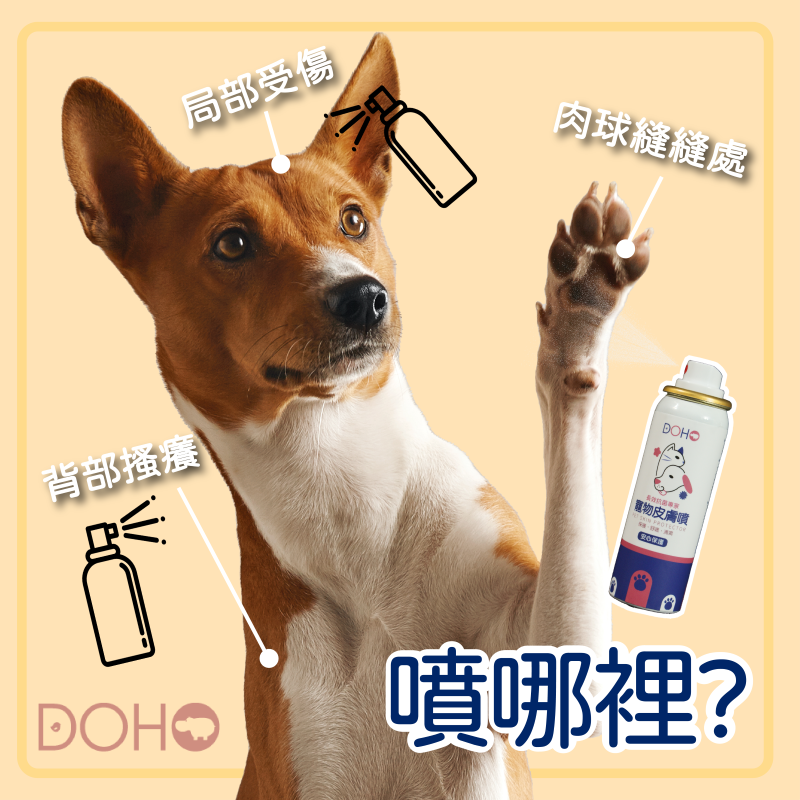 【DOHO 寶貝噴】寵物皮膚噴75ml (寵物液態OK繃) － 生活市集