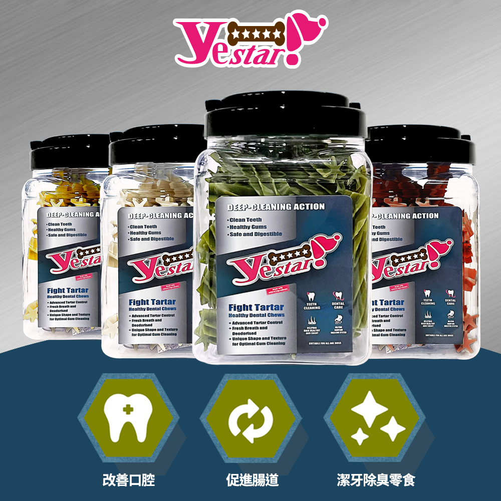 【Yestar】星型潔牙棒桶裝 狗潔牙骨 550g (多種口味 任選) － 生活市集